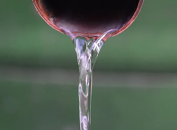 Medovača ( Medina Rakija ) - Rakija od Fermentisanog Meda, Cena, Prodaja